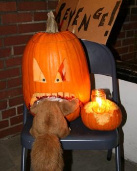 Revenge-squirrel-thumbnail | eaves.ca